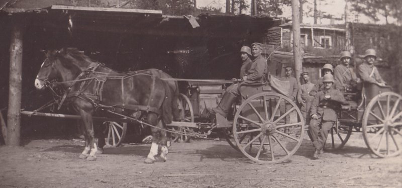 Foot Artillery Driver's Saddle and Harness